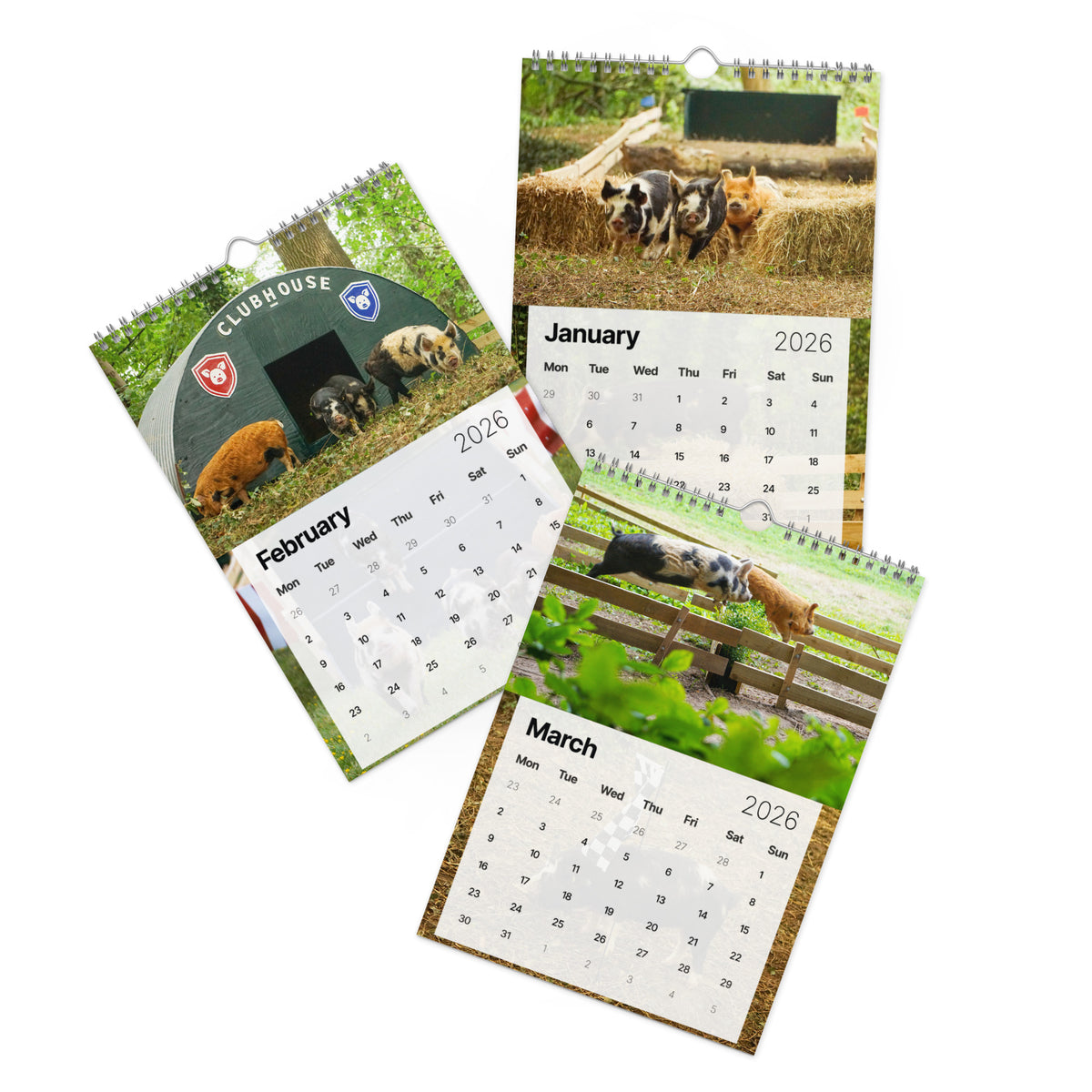 League Calendar (2026) – League of Pigs